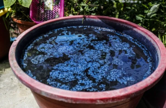 Časopis Industrija :: Kineski istraživači razvili su nov metod ...